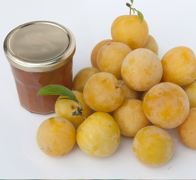Pépinères Forest - Arbres Fruitiers - Prunes